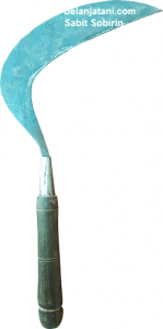 Sabit Rumput Terdekat Murah - Jual Harga Terbaru | Belanja Tani