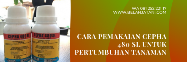 Cara Pemakaian Cepha 480 SL Untuk Pertumbuhan Tanaman