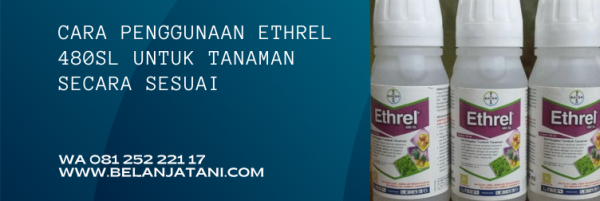 Cara Penggunaan Ethrel 480SL Untuk Tanaman Secara Sesuai